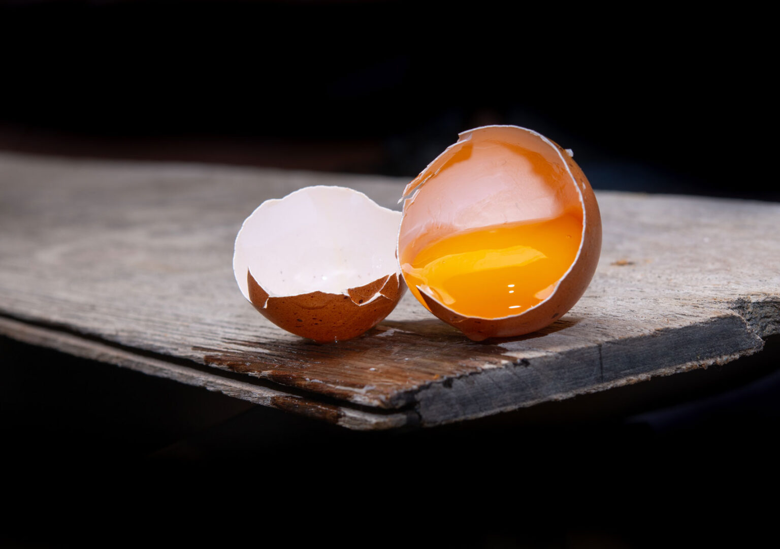 Blood in Chicken Egg: What Does It Mean? - Backyard Poultry